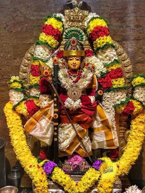 முருகன் படங்கள் | முருகன் போட்டோ | Murugan Images | Muruga