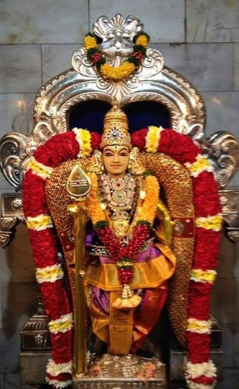 முருகன் படங்கள் | முருகன் போட்டோ | Murugan Images | Muruga