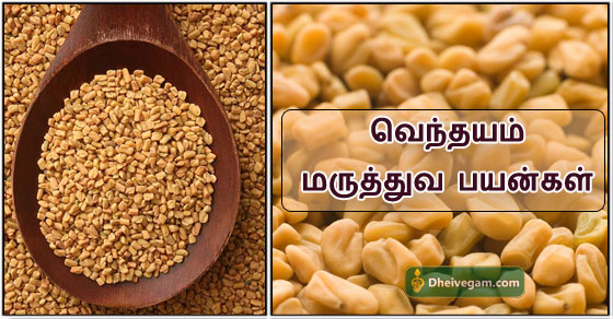 வெந்தயம் பயன்கள் | Venthayam benefits in Tamil | Uses in Tamil