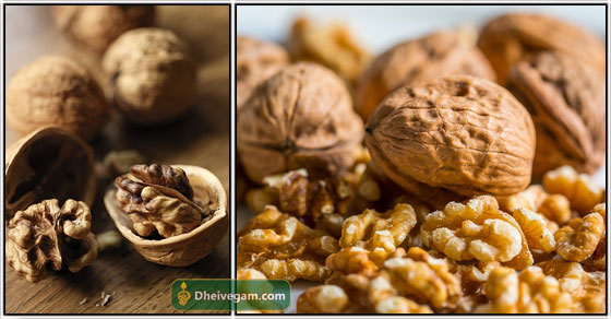 வால்நட்ஸ் நன்மைகள் | Walnut benefits in Tamil