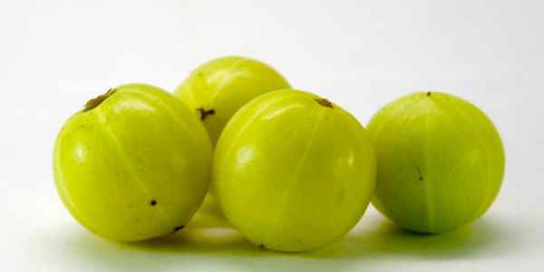 நெல்லிக்காய் பயன்கள் | Nellikai benefits in Tamil | Nellikkai uses Tamil