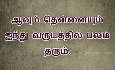 தமிழ் பழமொழிகள் | Tamil proverbs in Tamil | pazhamozhi | palamozhi