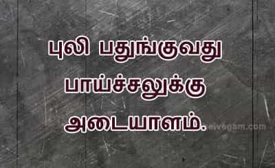 தமிழ் பழமொழிகள் | Tamil proverbs in Tamil | pazhamozhi | palamozhi