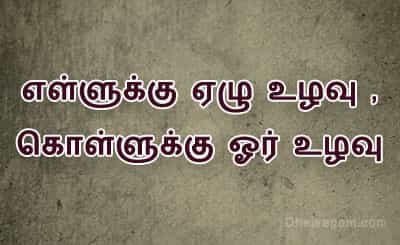 தமிழ் பழமொழிகள் | Tamil proverbs in Tamil | pazhamozhi | palamozhi