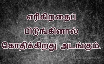 தமிழ் பழமொழிகள் | Tamil proverbs in Tamil | pazhamozhi | palamozhi