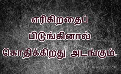 தமிழ் பழமொழிகள் | Tamil proverbs in Tamil | pazhamozhi | palamozhi