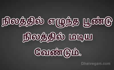 தமிழ் பழமொழிகள் | Tamil proverbs in Tamil | pazhamozhi | palamozhi