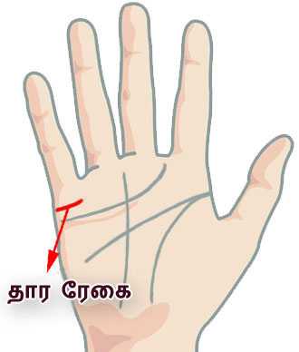 திருமண ரேகை பலன் | Thirumana regai palangal in Tamil