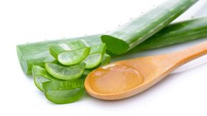 சோற்று கற்றாழை பயன்கள் | Sotru katralai benefits in Tamil