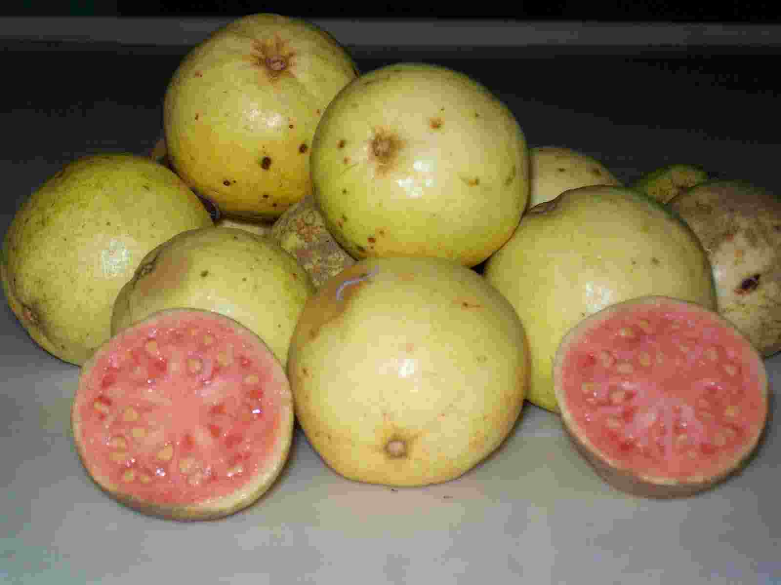 கொய்யா பழம் பயன்கள் | Koiya palam payangal in Tamil | Benefits