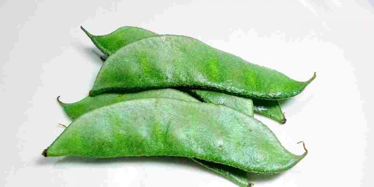 அவரைக்காய் நன்மைகள் | Avarakkai benefits in Tamil