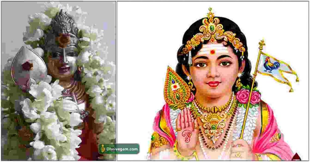 செண்பகப்பூ பயன்கள் | Shenbaga poo for which god | Shenbagam flower