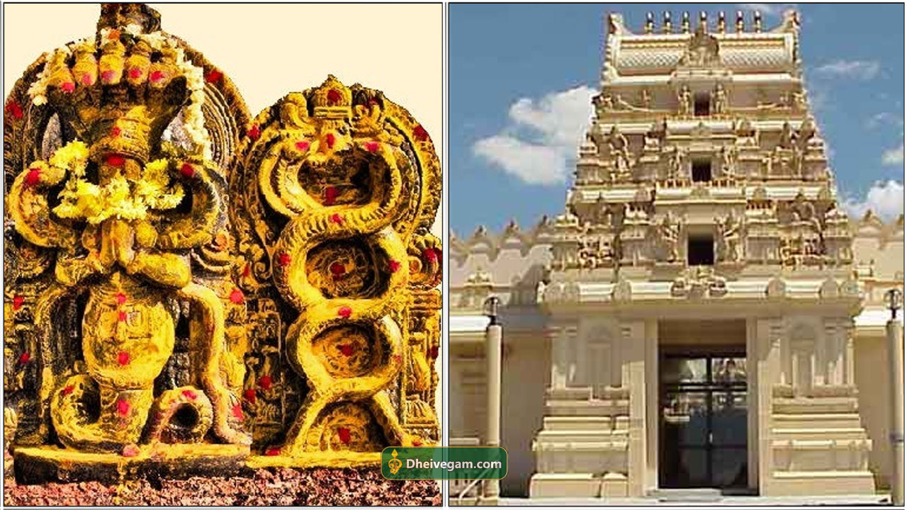 நாகராஜா சுவாமி கோயில் | Nagercoil nagaraja temple details in Tamil