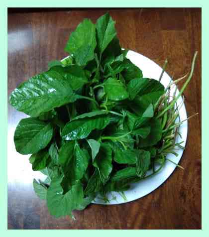 அரை கீரை பயன்கள் | Arai keerai benefits in Tamil