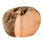 கருணைக்கிழங்கு நன்மைகள் | Karunai kilangu benefits in Tamil