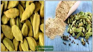 ஏலக்காய் பயன்கள் | Elakkai uses in Tamil | Elakkai benefits in Tamil