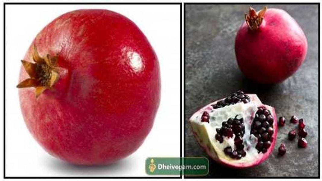 மாதுளை பழம் பயன்கள் | Mathulai benefits in Tamil
