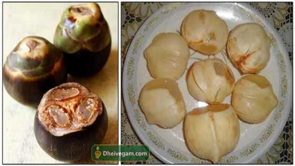 நுங்கு பயன்கள் | Nungu uses in Tamil | Nungu benefits in Tamil