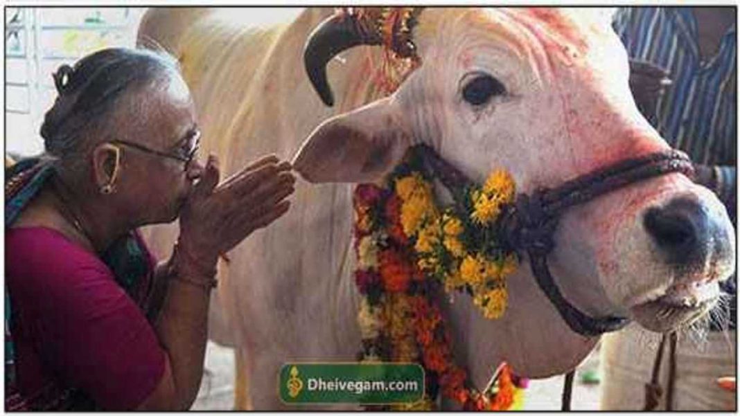 கோமாதா ஸ்லோகம் | Gomatha slokam in Tamil