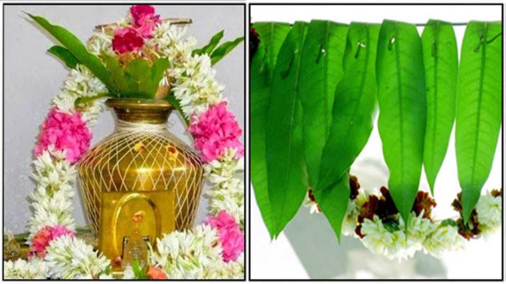 மாவிலை தோரணம் பயன்கள் | Maavilai thoranam benefits in Tamil