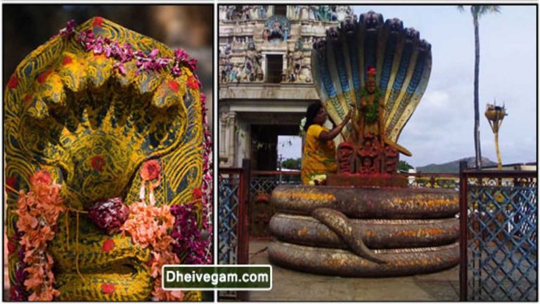 சர்ப தோஷ பரிகாரம் | நாக தோஷம் | Naga dosham pariharam