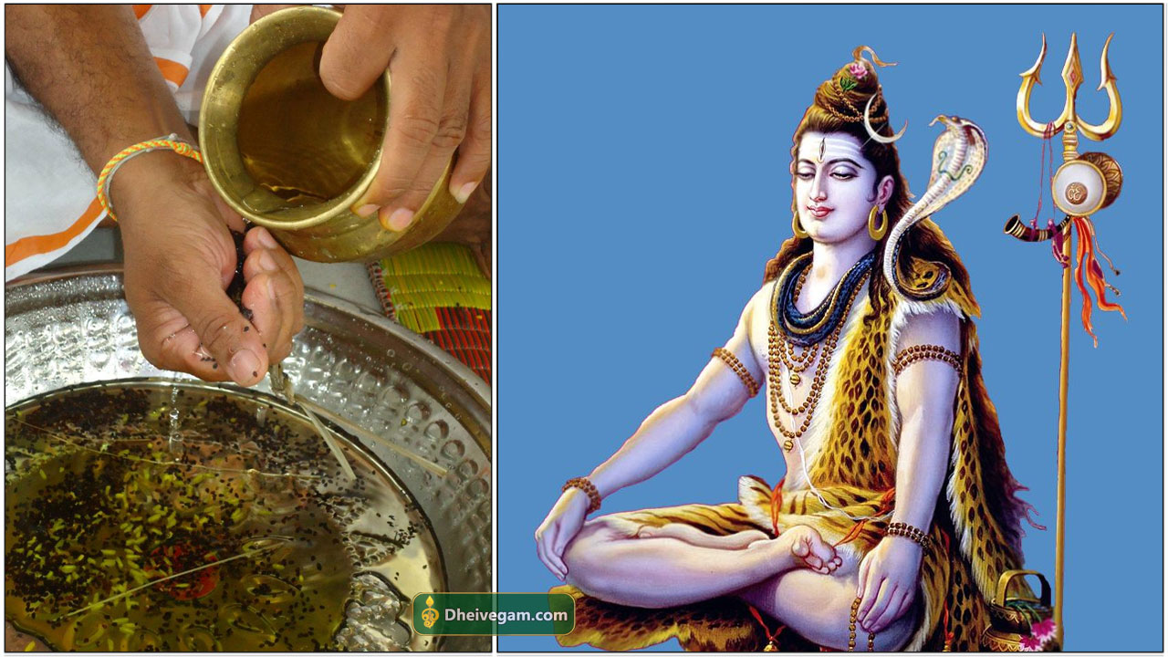 பித்ரு தோஷம் நீங்க | Pitru dosha remedies in Tamil