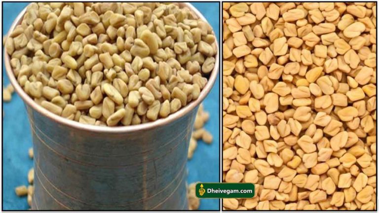 வெந்தயத்தின் பயன்கள் | Fenugreek benefits in Tamil