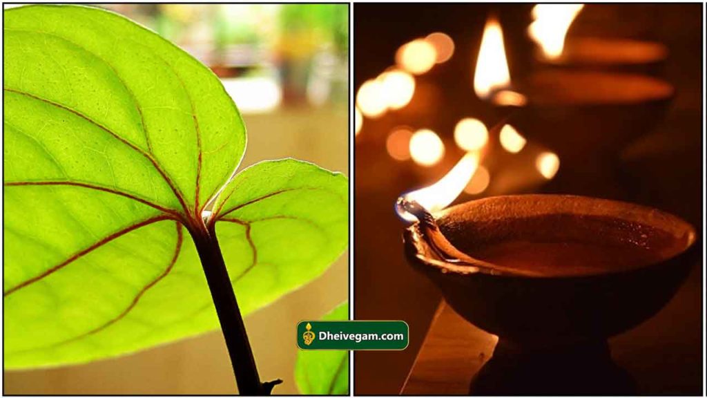 வெற்றிலை தீபம் | Vetrilai vilakku | Vetrilai kambu vilaku