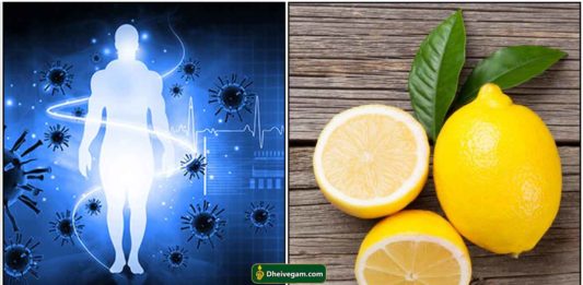 யோக முத்திரைகள் | Yoga mudras in Tamil | Yoga muthirai in Tamil