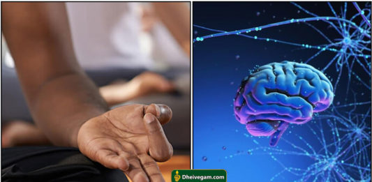 யோக முத்திரைகள் | Yoga mudras in Tamil | Yoga muthirai in Tamil