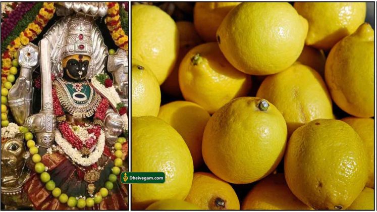 கோவில் எலுமிச்சம் பழம் | What to do with lemon from temple