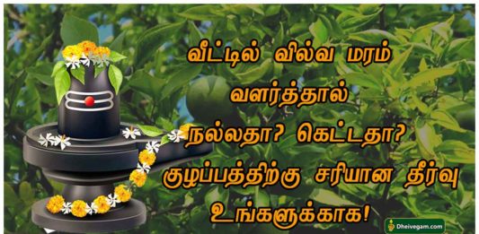 Vilvam tree uses in Tamil Archives - Dheivegam
