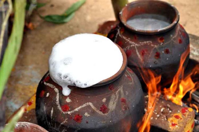 பொங்கல் பானை வைக்கும் முறை | Pongal paanai seivathu eppadi