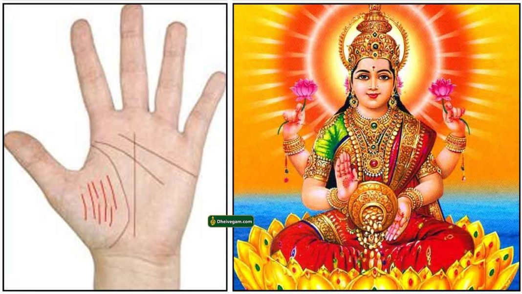 சுக்கிர மேடு பலன் | Sukra medu in hand in Tamil