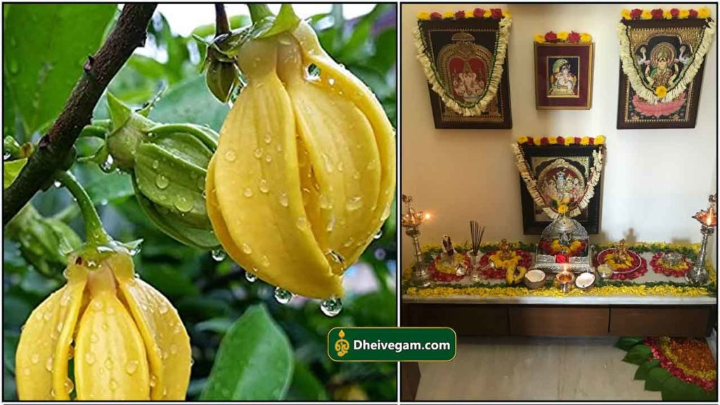 மனோரஞ்சிதம் பூ | Veetil Poojai Seiyum Muraigal Tamil