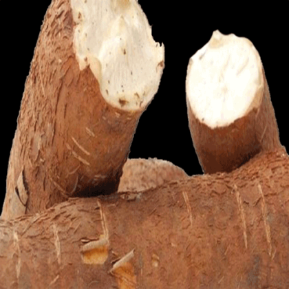 மரவள்ளிக்கிழங்கை வைத்து சுவையான ஒரு மலேசியன் ஸ்வீட் | Maravalli kilangu ...