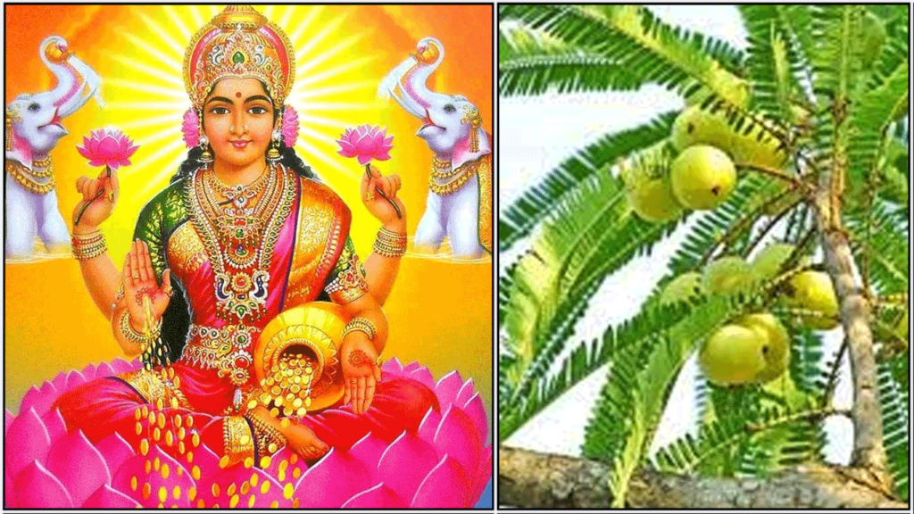 லஷ்மி கடாட்சம் கிடைக்க | Lakshmi kadatcham peruga Tamil