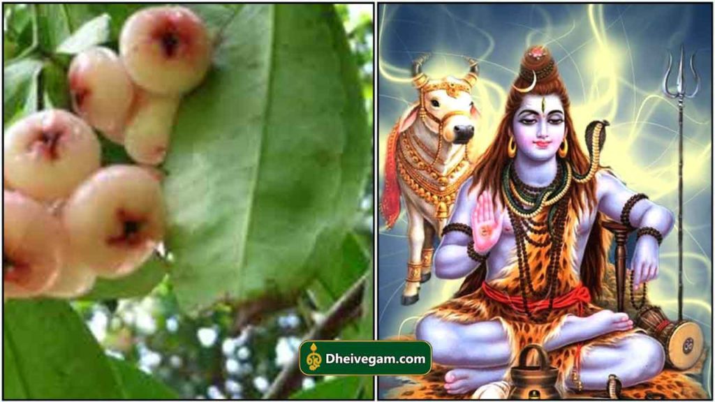 வாழ்க்கையில் ஜெயிக்க வேண்டும் | Valvil Vetri Pera Valigal Tamil