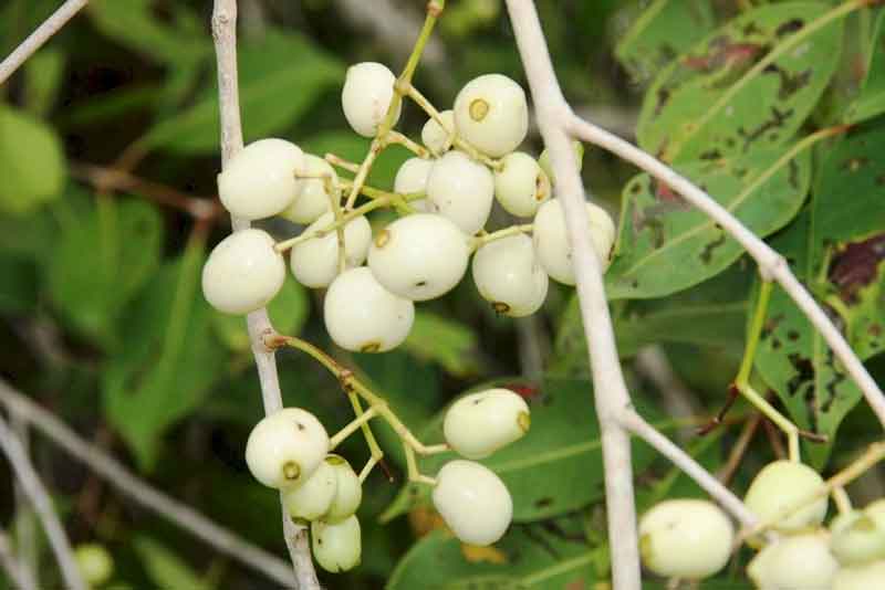 வாழ்க்கையில் ஜெயிக்க வேண்டும் | Valvil Vetri Pera Valigal Tamil