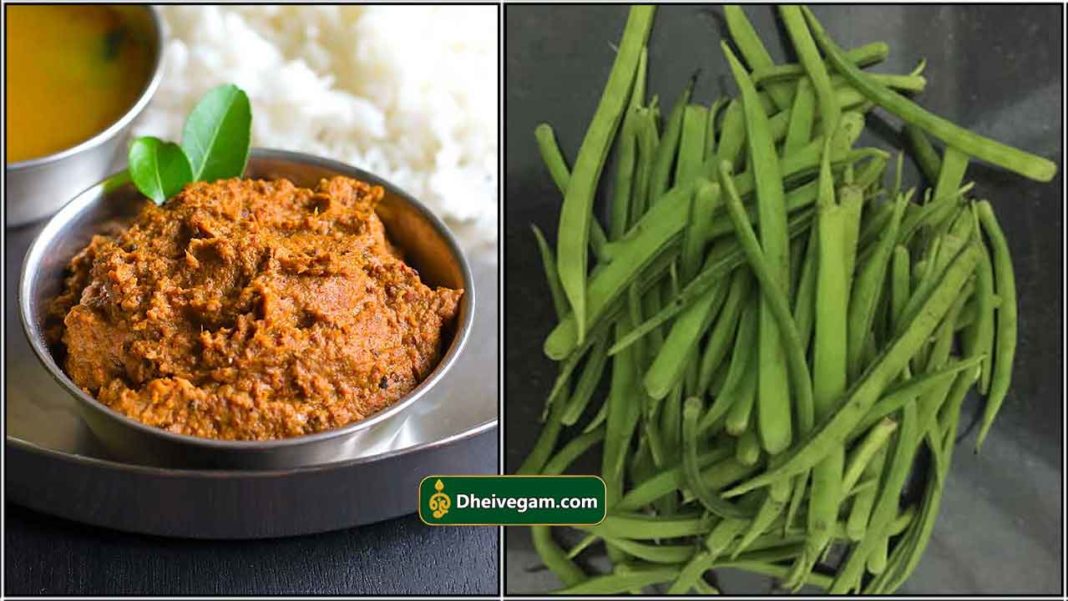 கொத்தவரங்காயில் துவையலா? இதுவரைக்கும் கேள்வி கூட படாத 'ஆந்திரா ஸ்டைல் ...