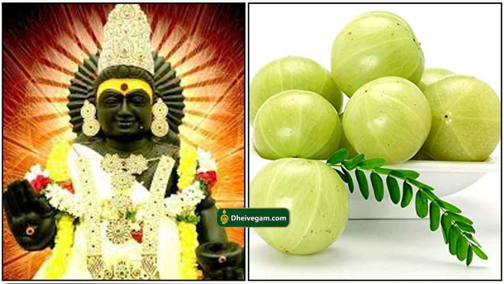 நெல்லிக்காய் விளக்கு ஏற்றுவது எப்படி | Nellikai deepam benefits in tamil