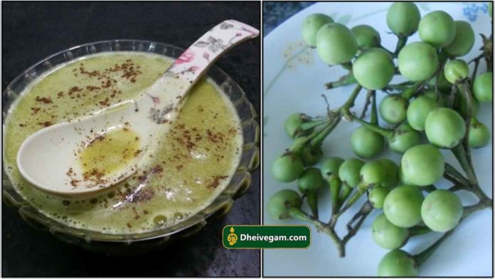 மூல நோயை நிரந்தரமாக சரி செய்ய சுண்டைக்காய் சூப் செய்வது எப்படி | Moola ...
