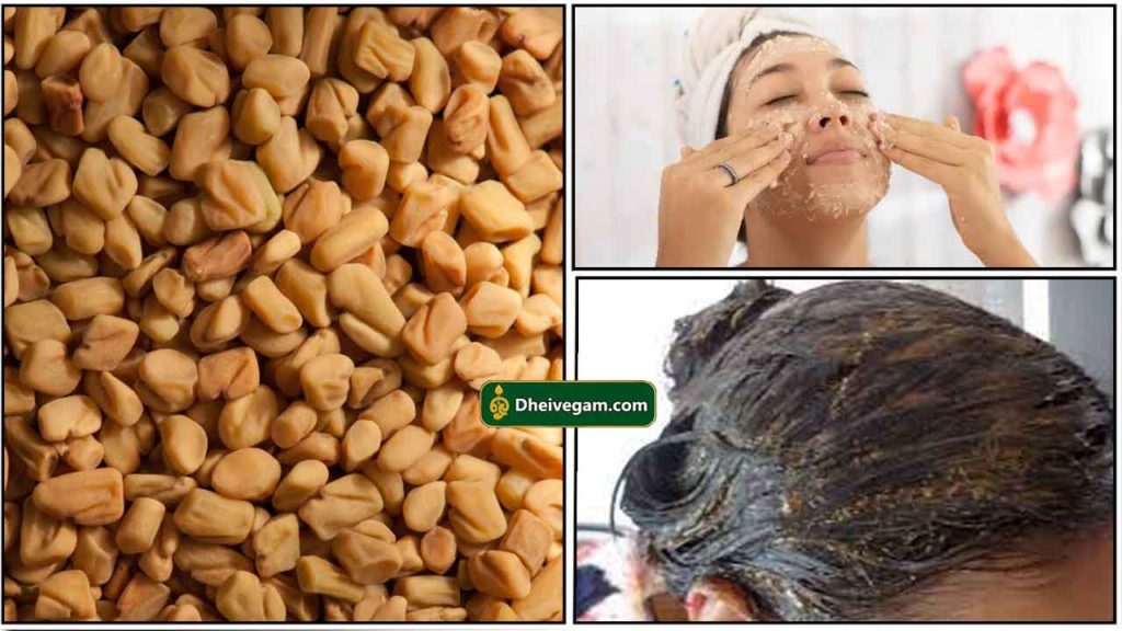 வெந்தயம் அழகு குறிப்புகள் | Fenugreek beauty tips in Tamil