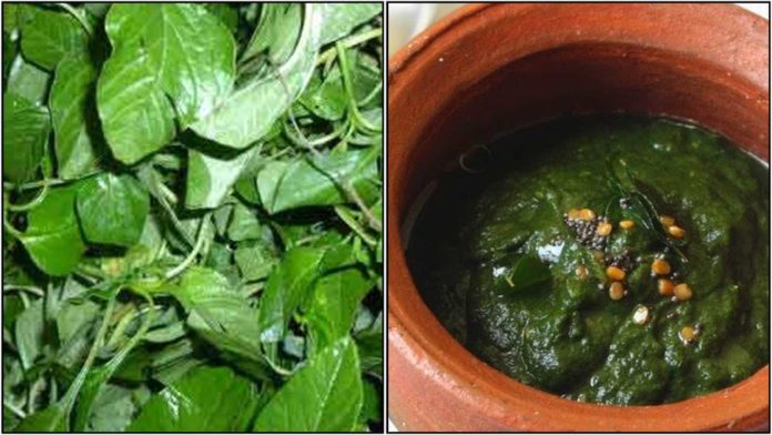 அரைக்கீரை வைத்து இப்படி சுவையான கடையல் செய்து கொடுத்தால், கீரை ...