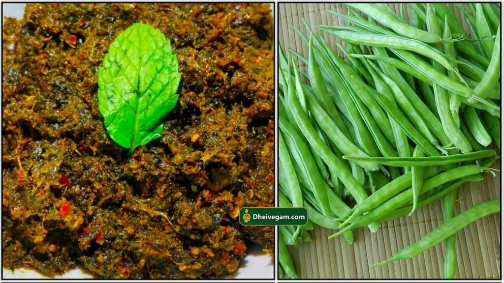 ஆந்திரா ஸ்டைல் டேஸ்டியான ஸ்பைசி கொத்தவரங்காய் துவையல் செய்வது இவ்ளோ ...