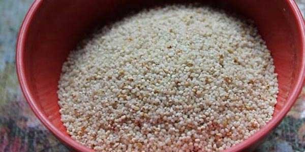 குதிரைவாலி அரிசி பயன்கள் | kuthiraivali rice benefits in tamil