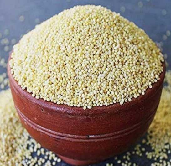 குதிரைவாலி அரிசி பயன்கள் | kuthiraivali rice benefits in tamil