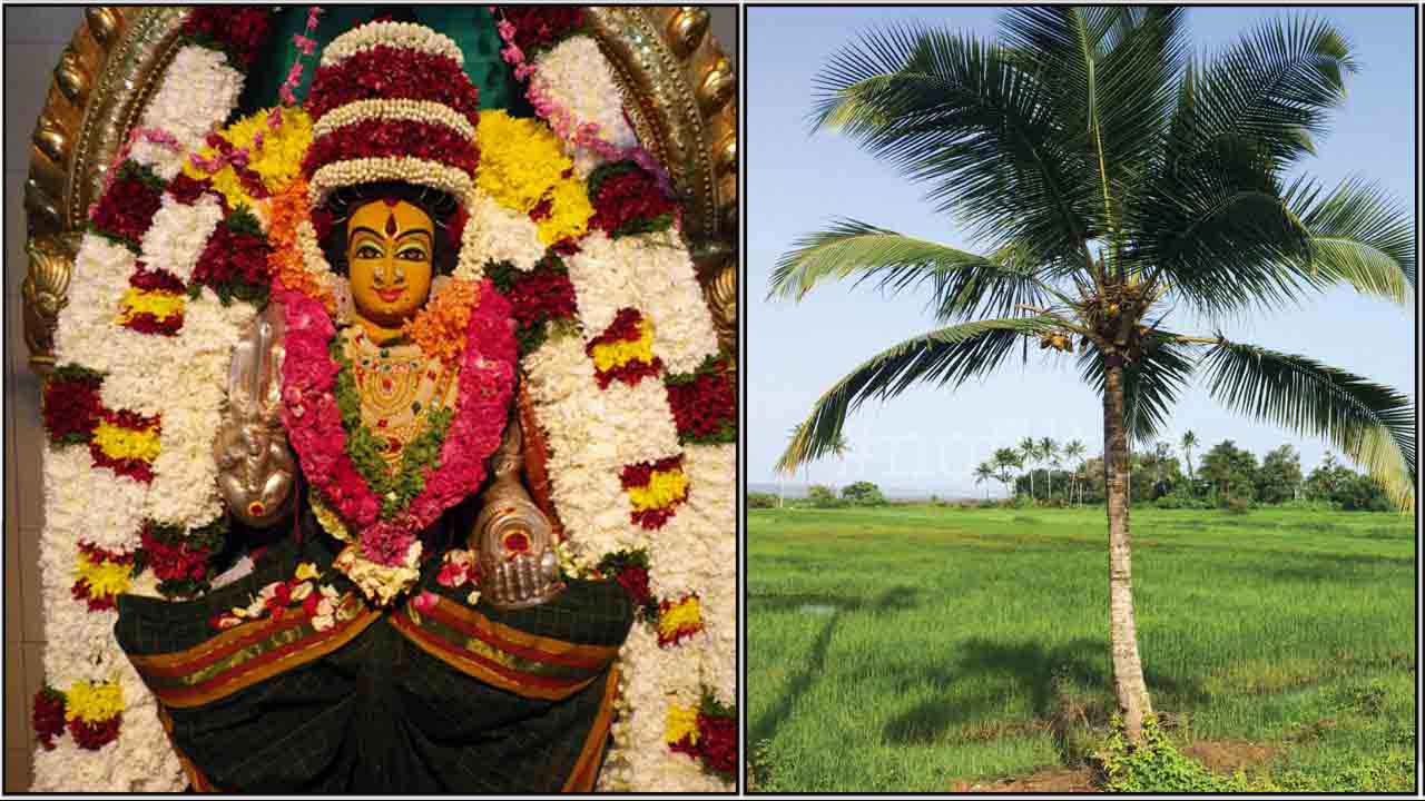 இழந்த பணம் சொத்து மீட்க பரிகாரம் | Ezhanthatha Soththai Meetkum Pariharam