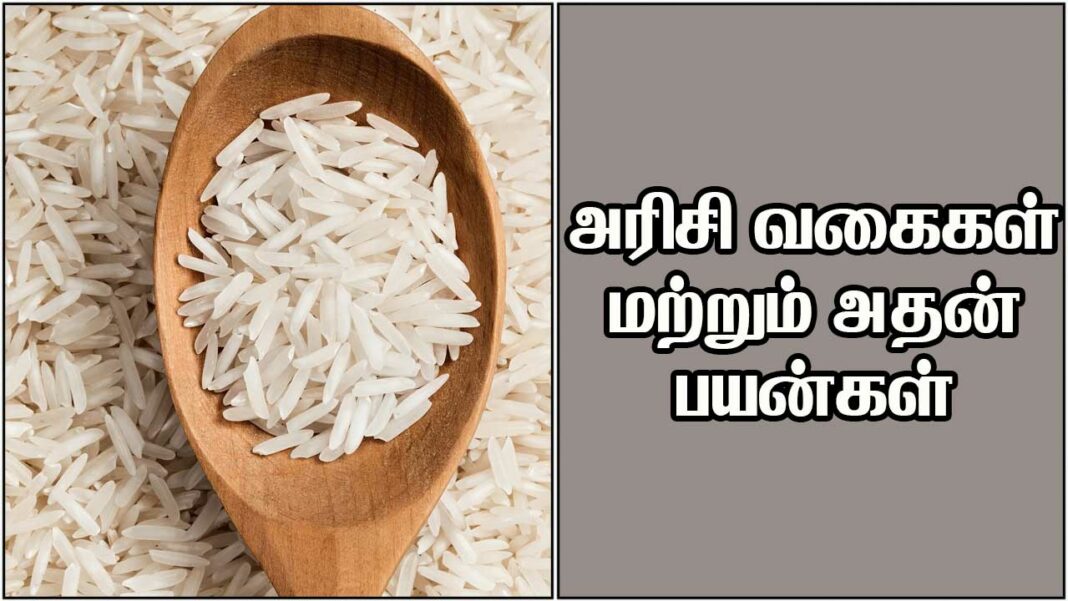 அரிசி வகைகள் அதன் பயன்கள் | Types of rice in Tamil