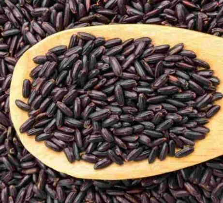 கருப்பு கவுனி அரிசி பயன்கள் | Karuppu kavuni rice benefits in Tamil